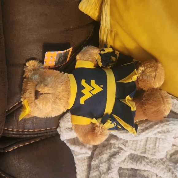 Plushland | Toys | Plushland West Virginia Cheerleader Bear | Poshmark